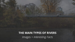 10 Different Types of Rivers (Images + Interesting Facts) | Casual ...