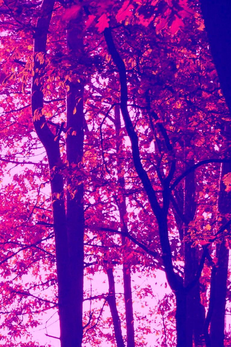 50+ Stunning Autumn Backgrounds and Illustrations (Free Download ...