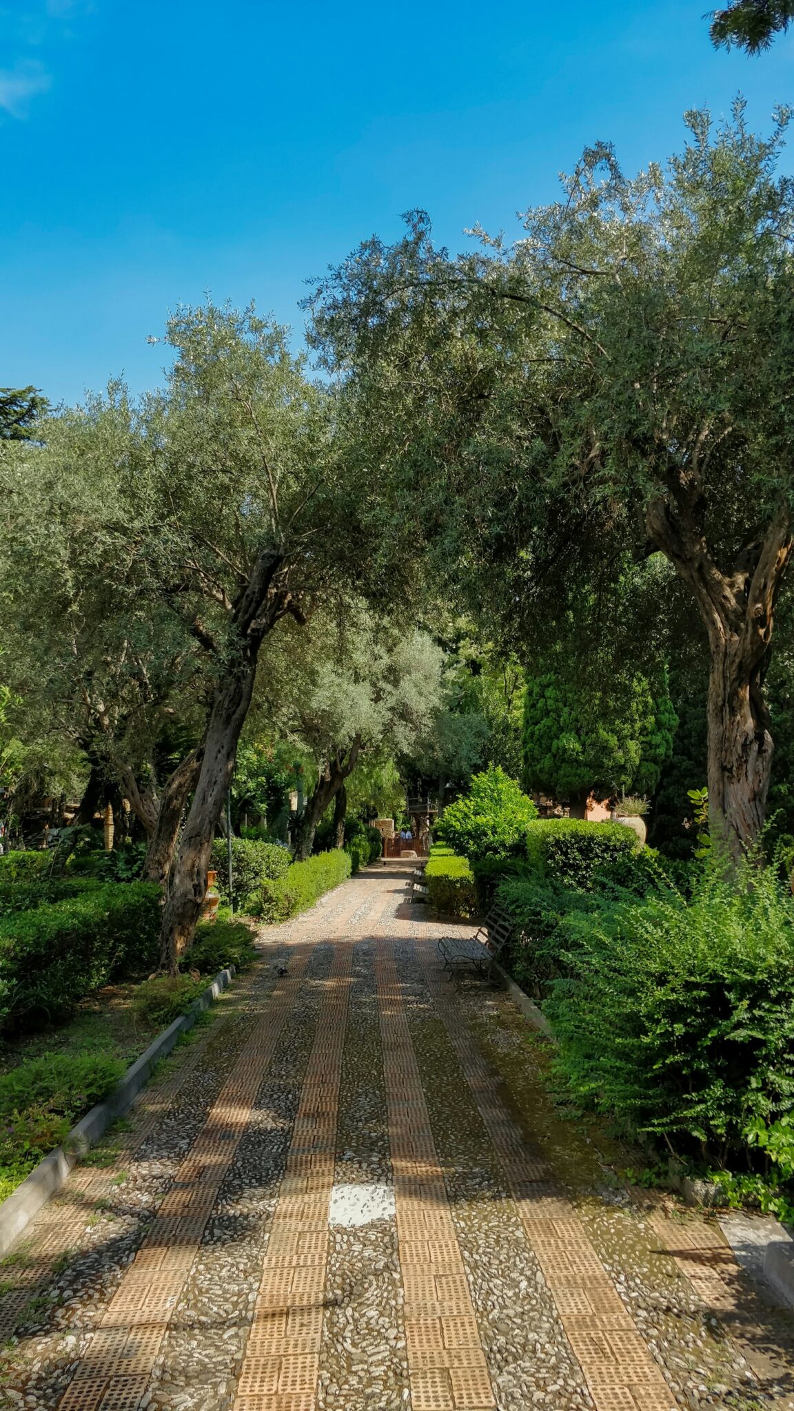 30+ Mediterranean Garden Landscapes for Ideas & Travel Inspiration ...