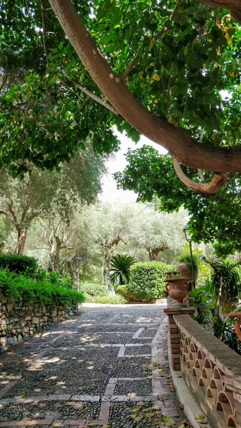 30+ Mediterranean Garden Landscapes for Ideas & Travel Inspiration ...