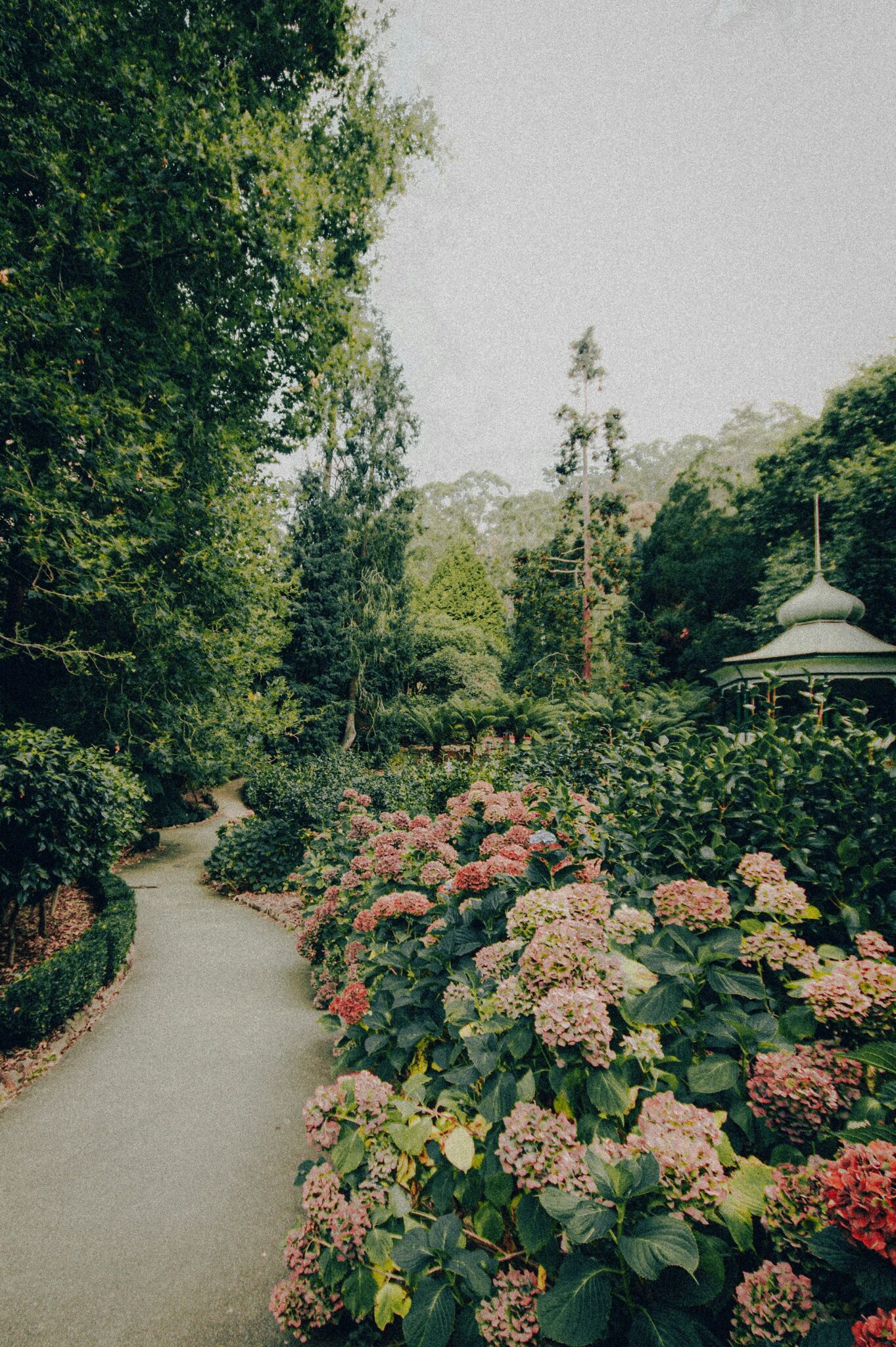 20+ Spring Flower Garden Wallpapers, Ideas, Inspiration | Casual ...