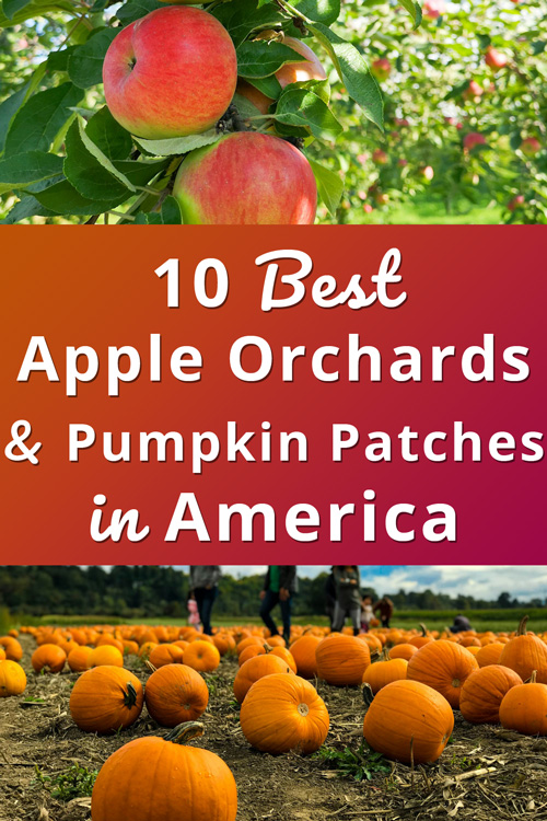 10 of America’s Best Apple Orchards and Pumpkin Patches for a Colorful ...