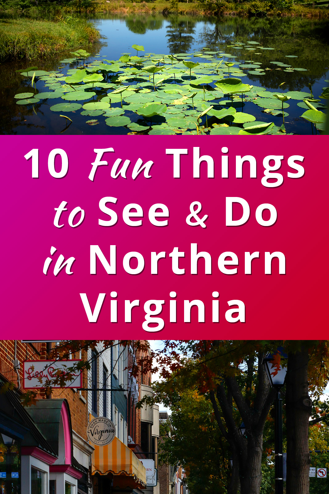 10 Fun Things to Do in Northern Virginia for Scenic Views & Hidden Gems ...